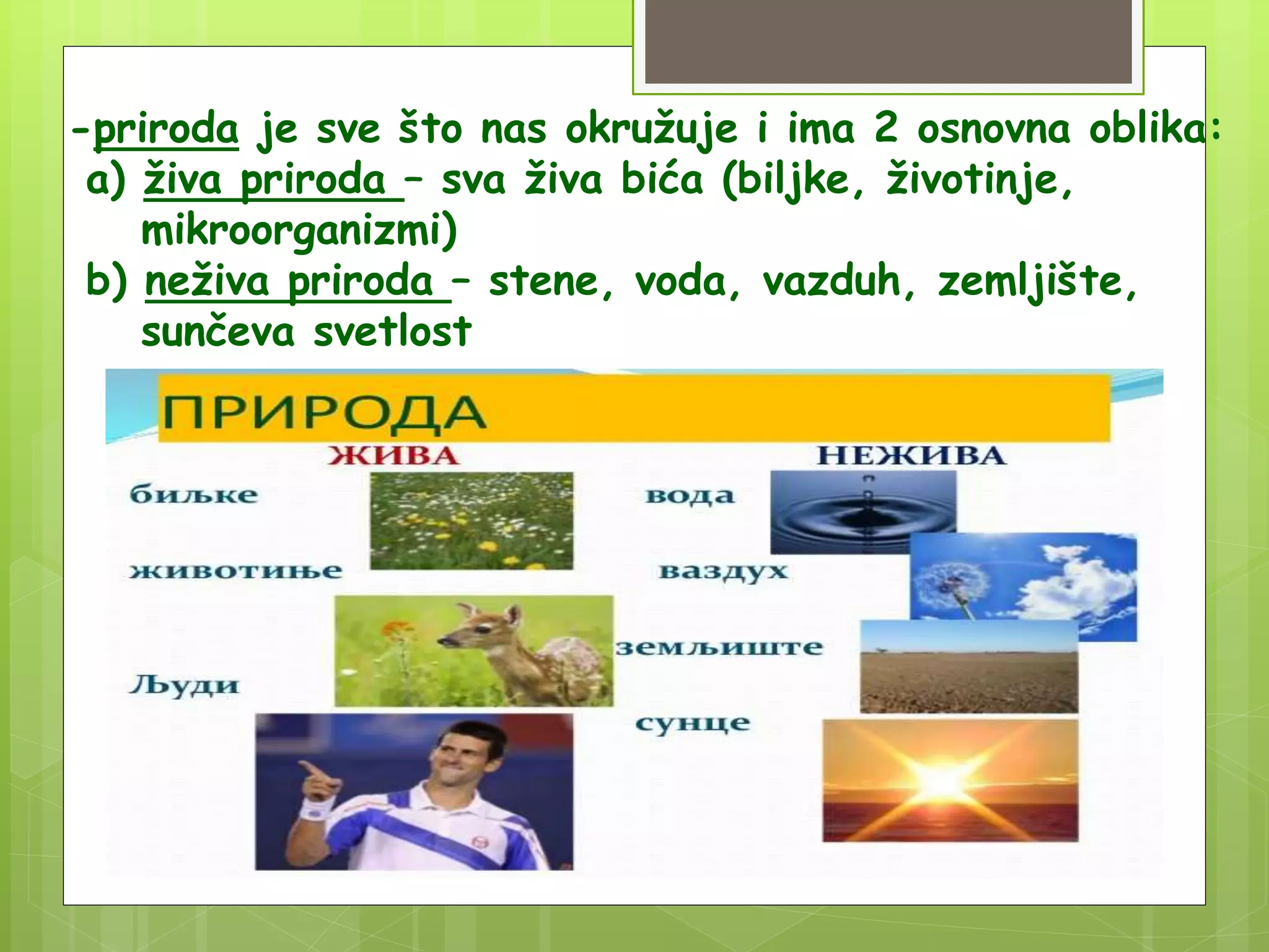1 ziva bica, neziva priroda i biologija | PPTX