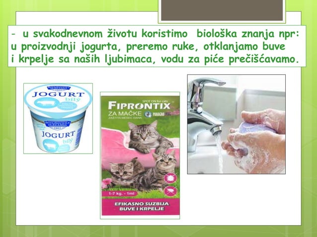 1 ziva bica, neziva priroda i biologija | PPTX