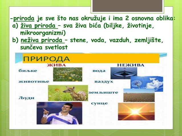 1 ziva bica, neziva priroda i biologija | PPTX