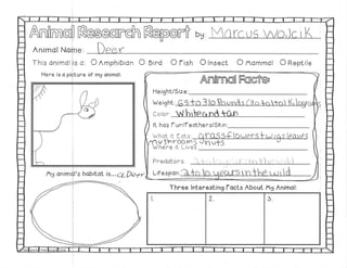 1 zoo animal report 2015 | PDF