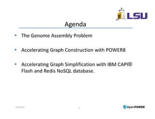Scaling Redis Cluster Deployments for Genome Analysis (featuring LSU ...
