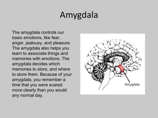 2.00 Experiment | PPTX