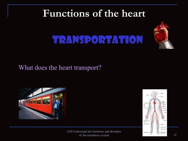2.02 understand the_functions_and_disorders_of_the_circulatory_system | PPT