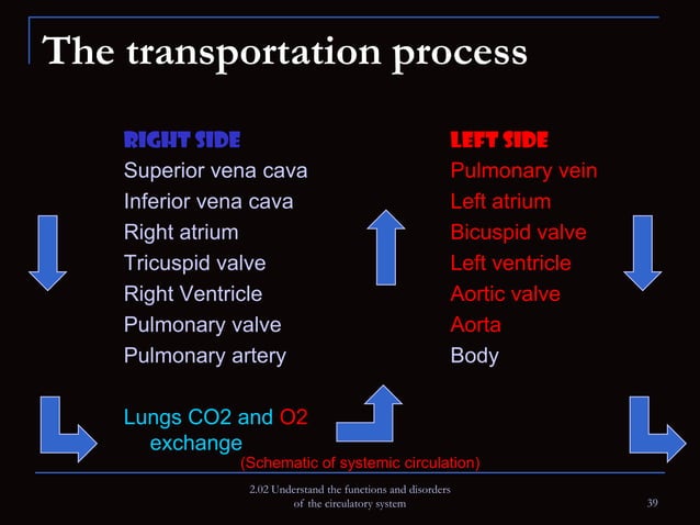2.02 understand the_functions_and_disorders_of_the_circulatory_system | PPT
