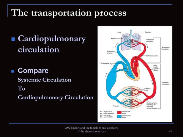 2.02 understand the_functions_and_disorders_of_the_circulatory_system | PPT