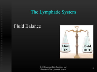 Functions and Disorders of the Lymphatic System | PPT