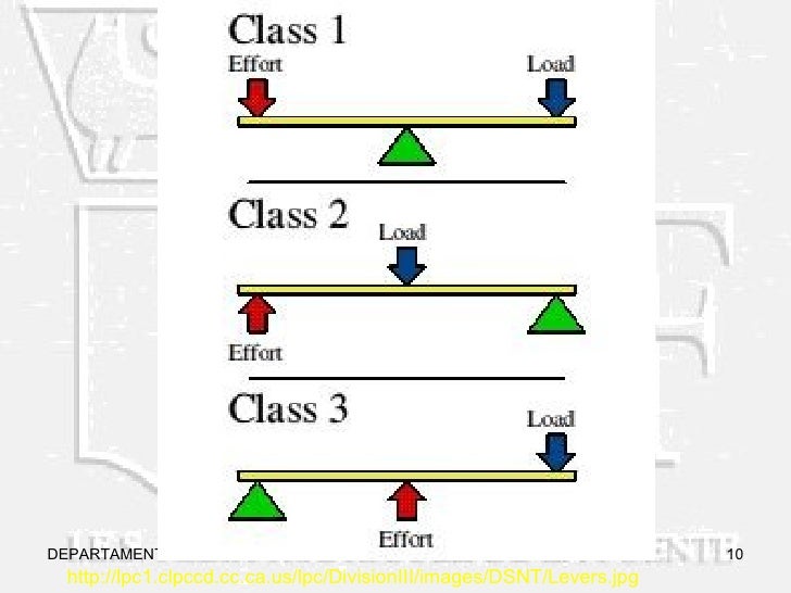 Types Of Levers[1]002