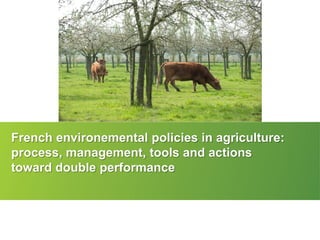 French environmental policies in agriculture: process, management ...