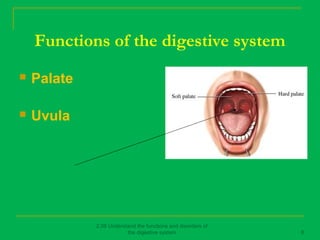 2.08 understand the_functions_and_disorders_of_the_digestive_system | PPT