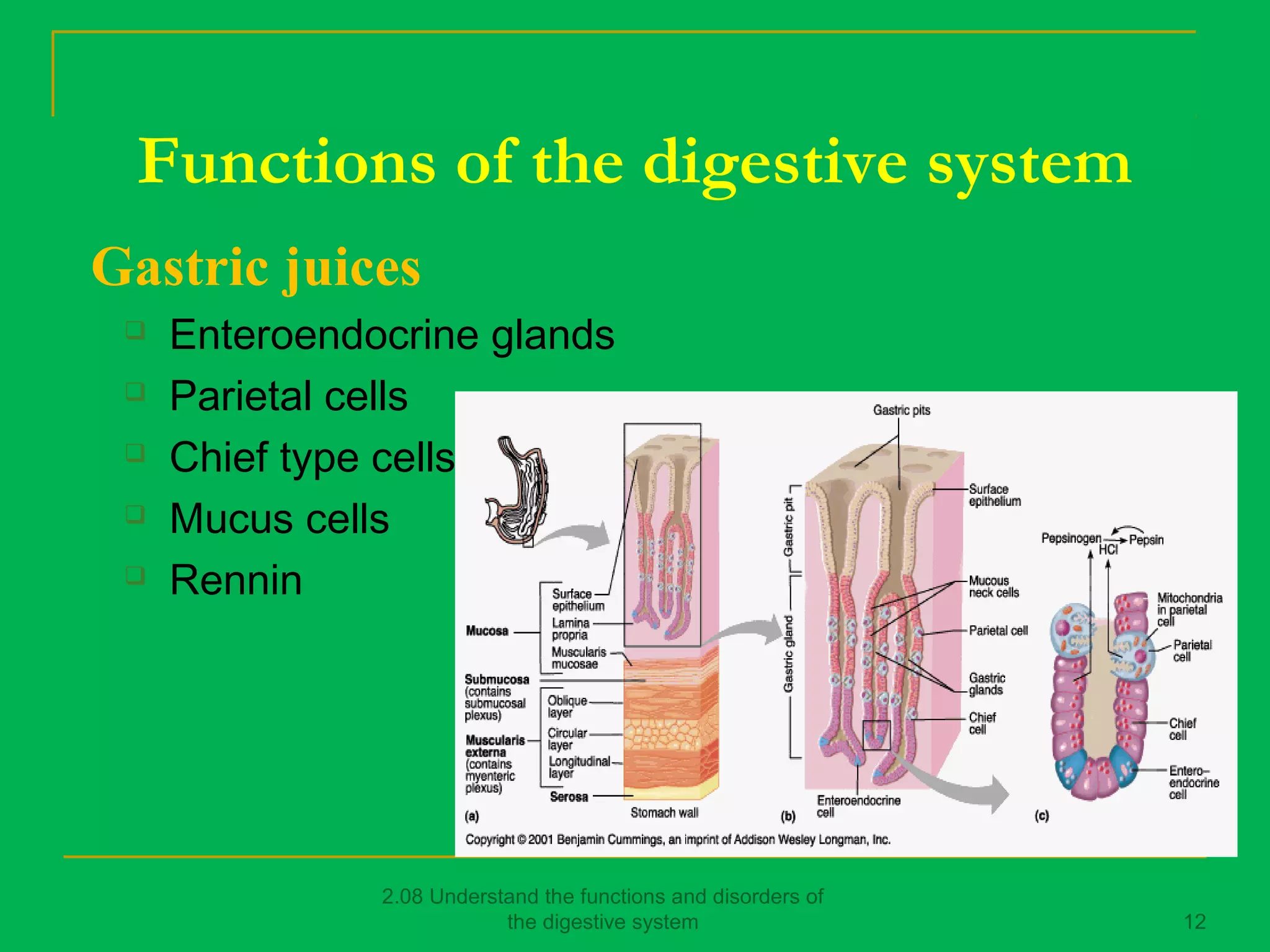 Functions & Disorders of the Digestive System | PPT