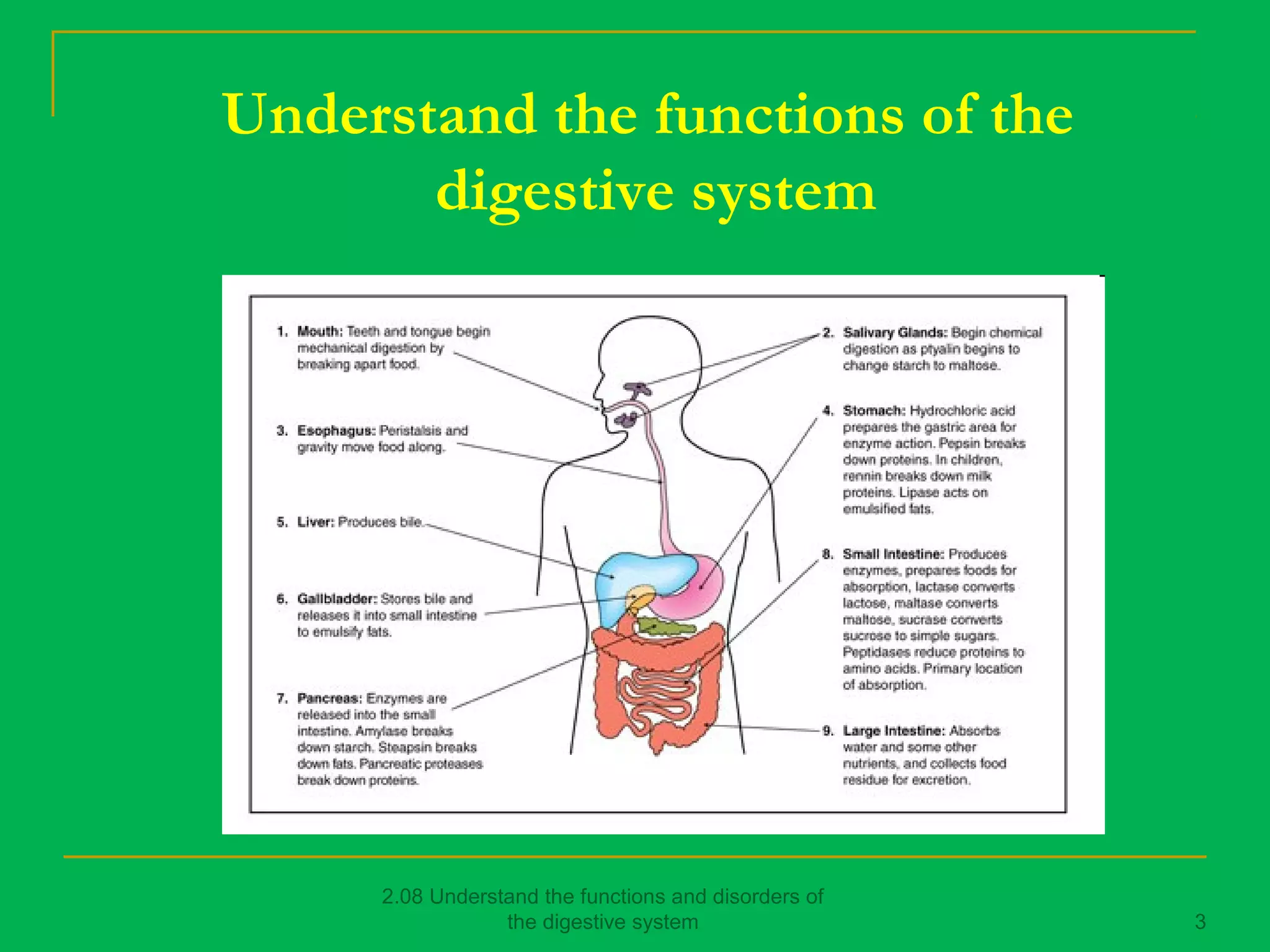 Functions & Disorders of the Digestive System | PPT