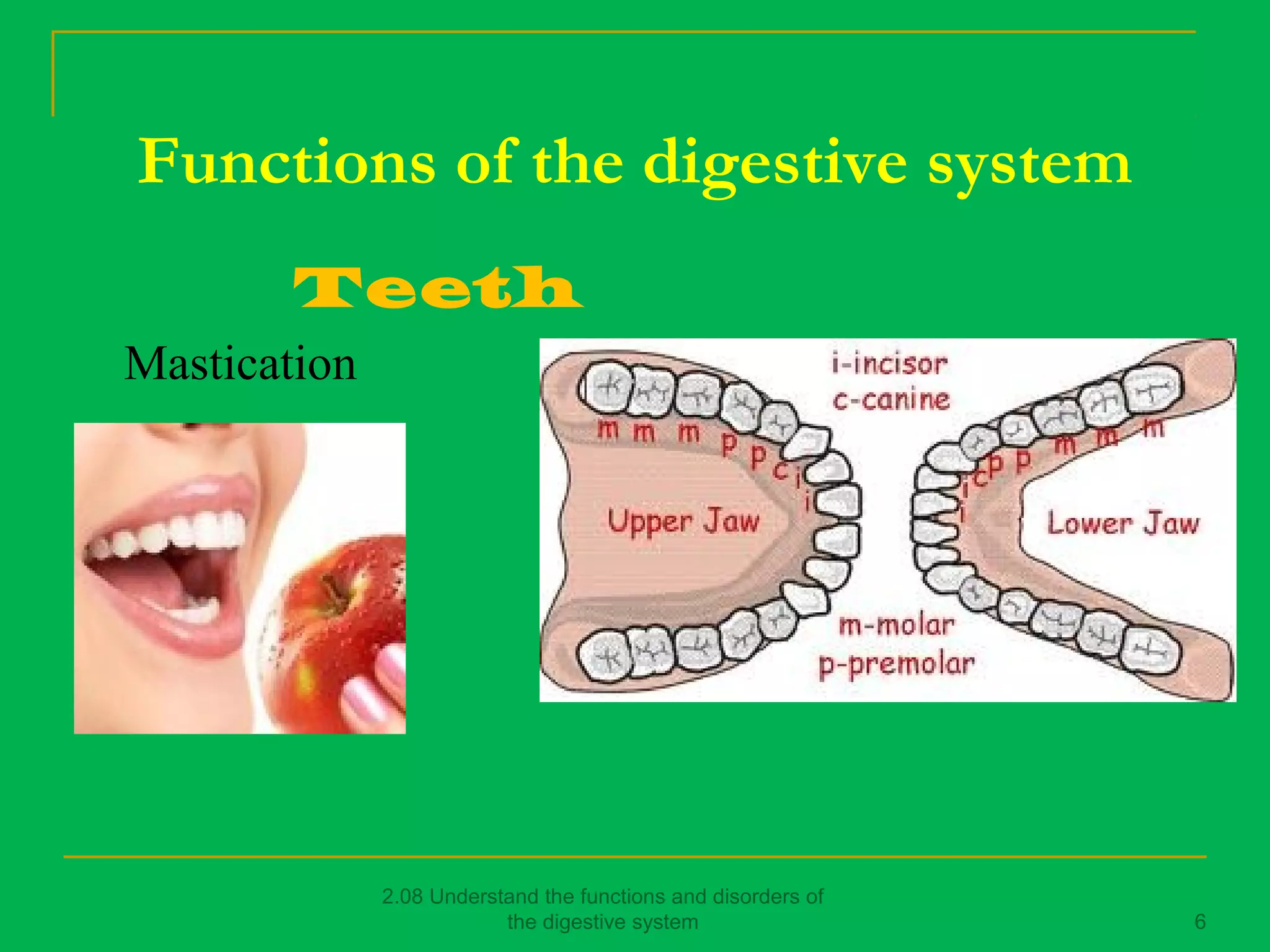 Functions & Disorders of the Digestive System | PPT