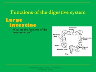 Functions & Disorders of the Digestive System | PPT