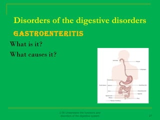 Functions & Disorders of the Digestive System | PPT