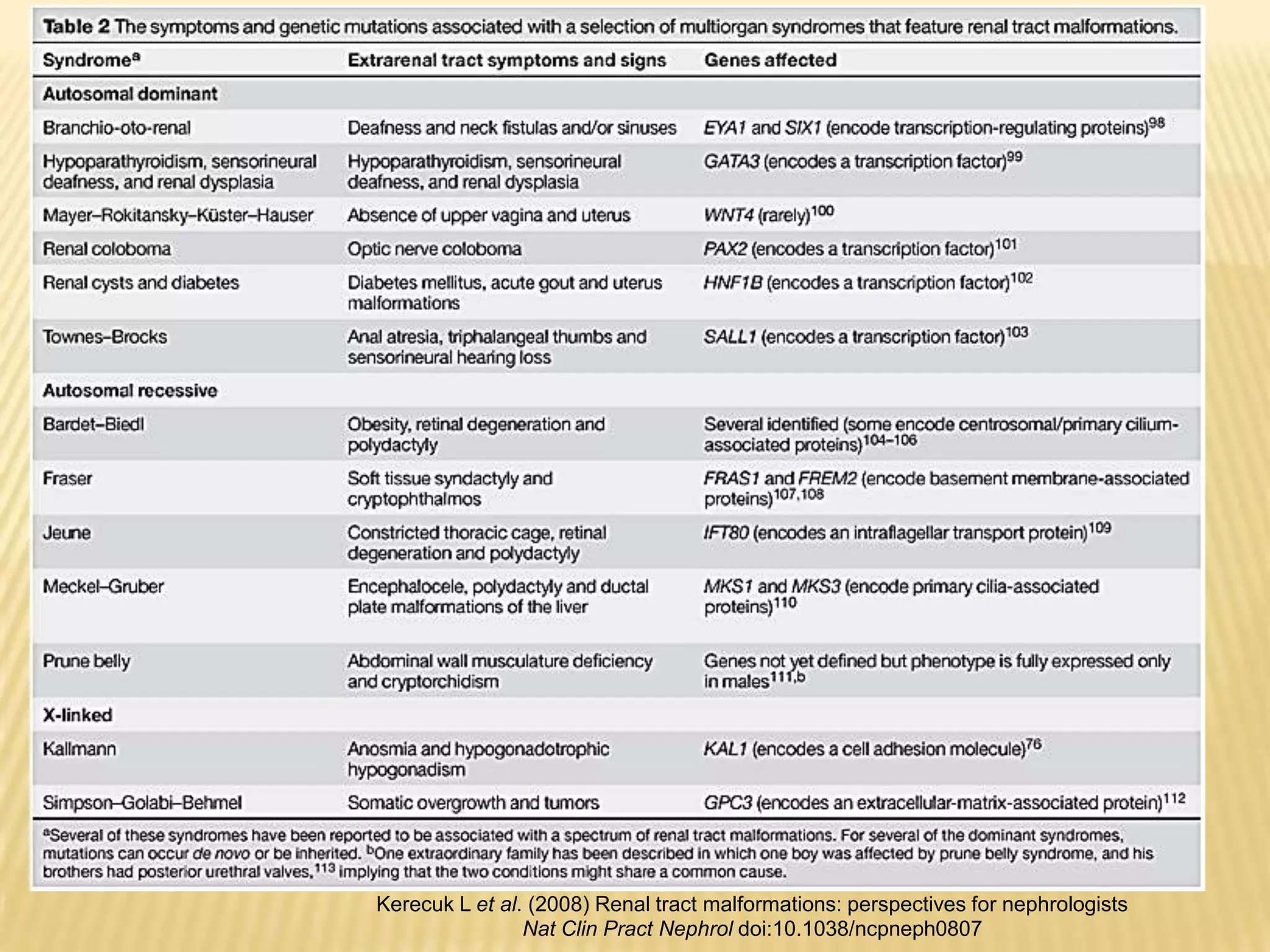 2-1. CAKUT. Svetlana Paunova (eng) | PPTX | Blood Disorders | Diseases ...