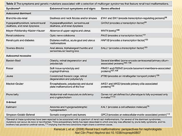 2-1. CAKUT. Svetlana Paunova (eng) | PPTX | Blood Disorders | Diseases ...