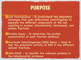 2.1 2.4 presentation | KEY