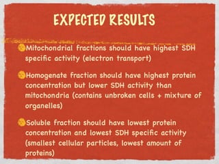 2.1 2.4 presentation | KEY