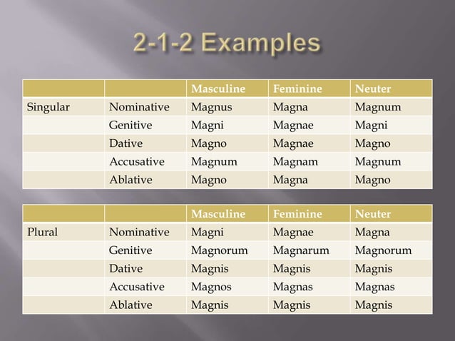 2 1 2 And 3rd Declension Adjectives | PPTX