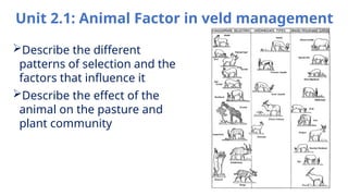 Animal Factor in veld management of rangelands.pptx