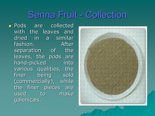2 1-natural sources and products of plants - types | PDF