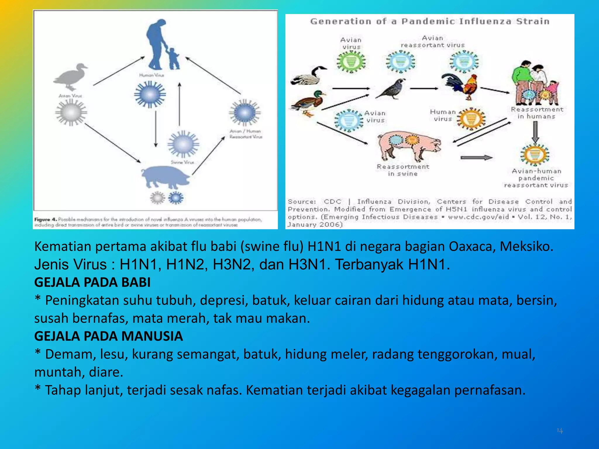 2-1-presentasi-virus_(1).ppt