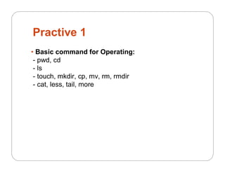 2.1.using the shell | PPT