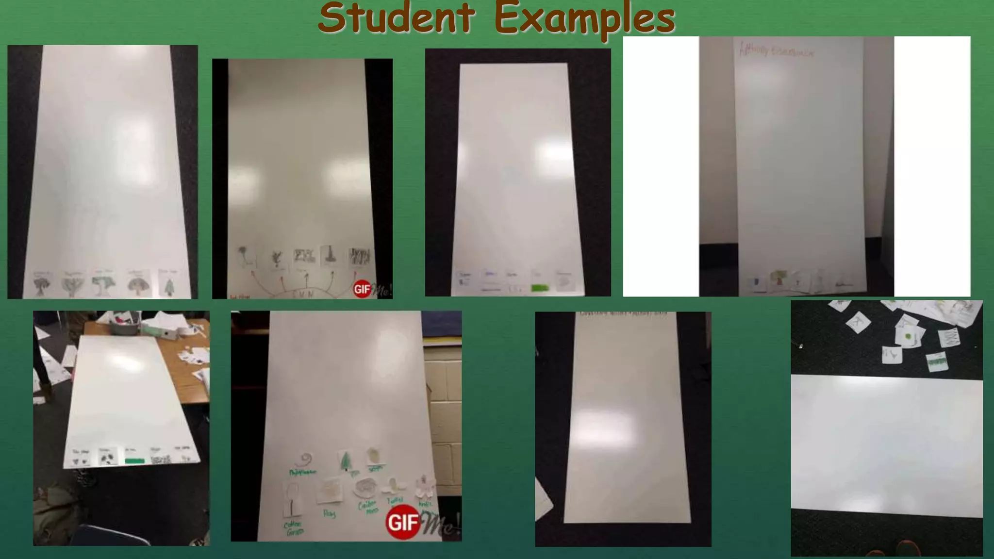2 10 abiotic factors ms.ls2