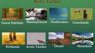 2 10 abiotic factors ms.ls2