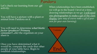 2 10 abiotic factors ms.ls2