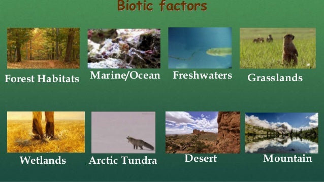 2 10 abiotic factors ms.ls2