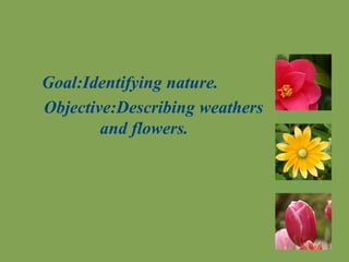 цахим хичээл 2 | ODP