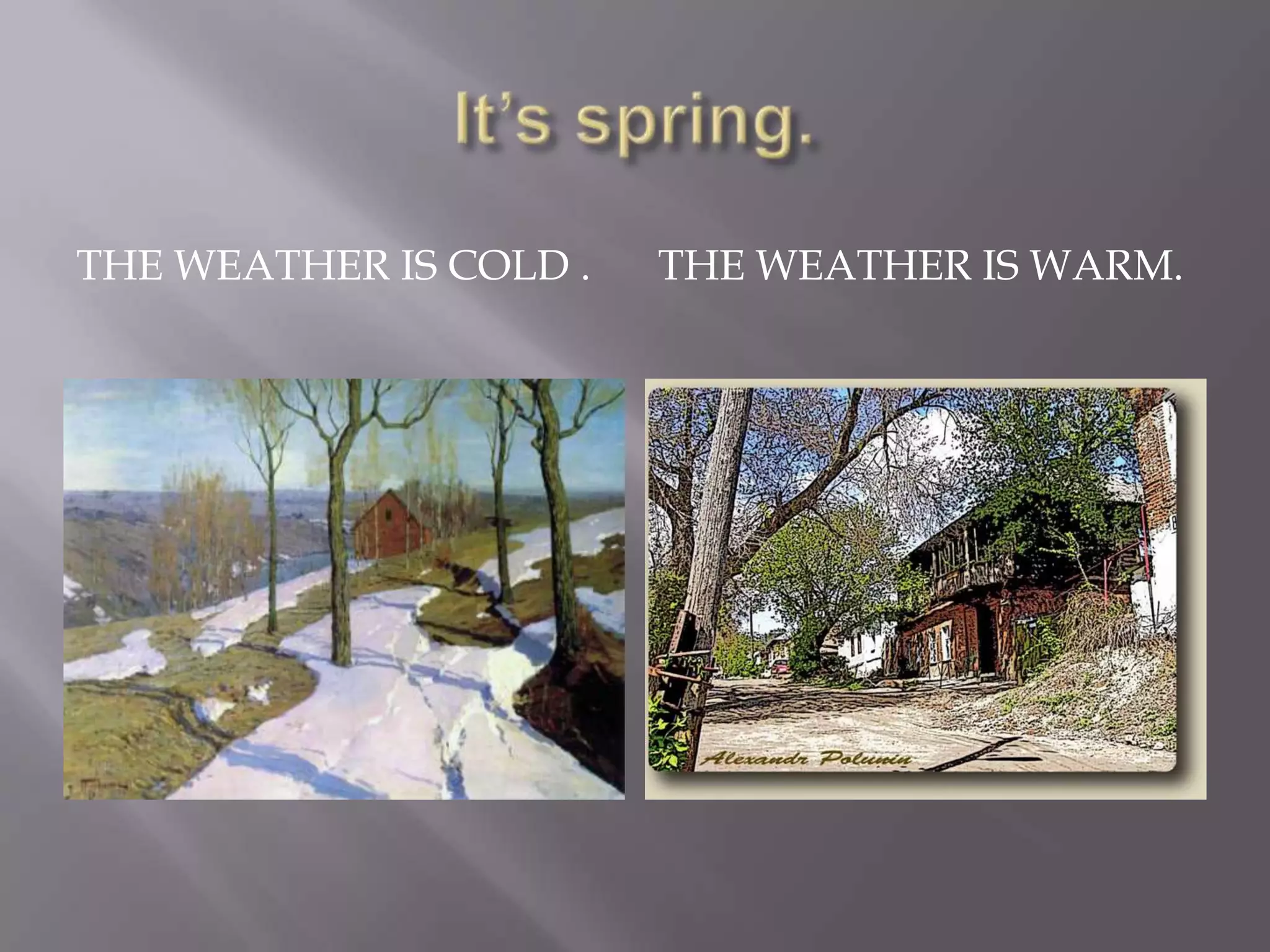 The seasons and the weather | PPTX