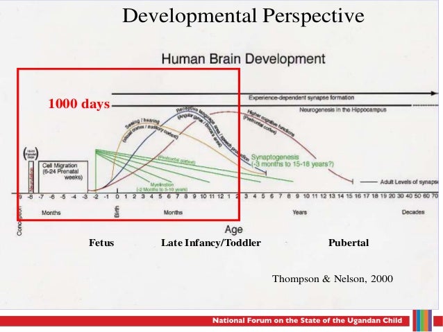 Technical Presentation: Child Development, Health, and Nutrition
