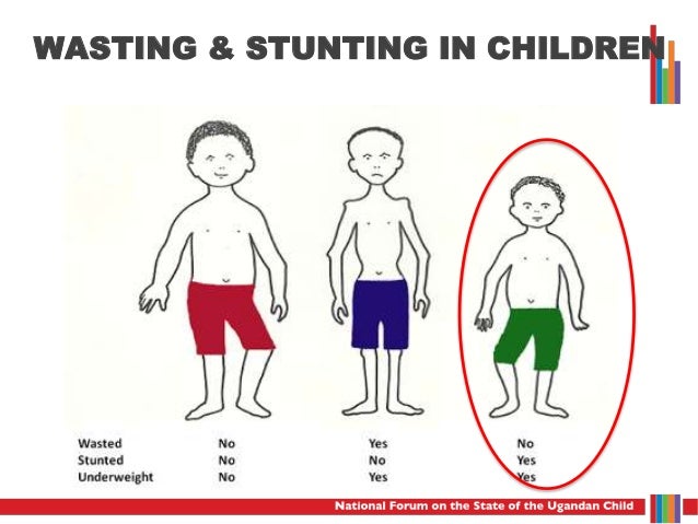 Technical Presentation: Child Development, Health, and Nutrition