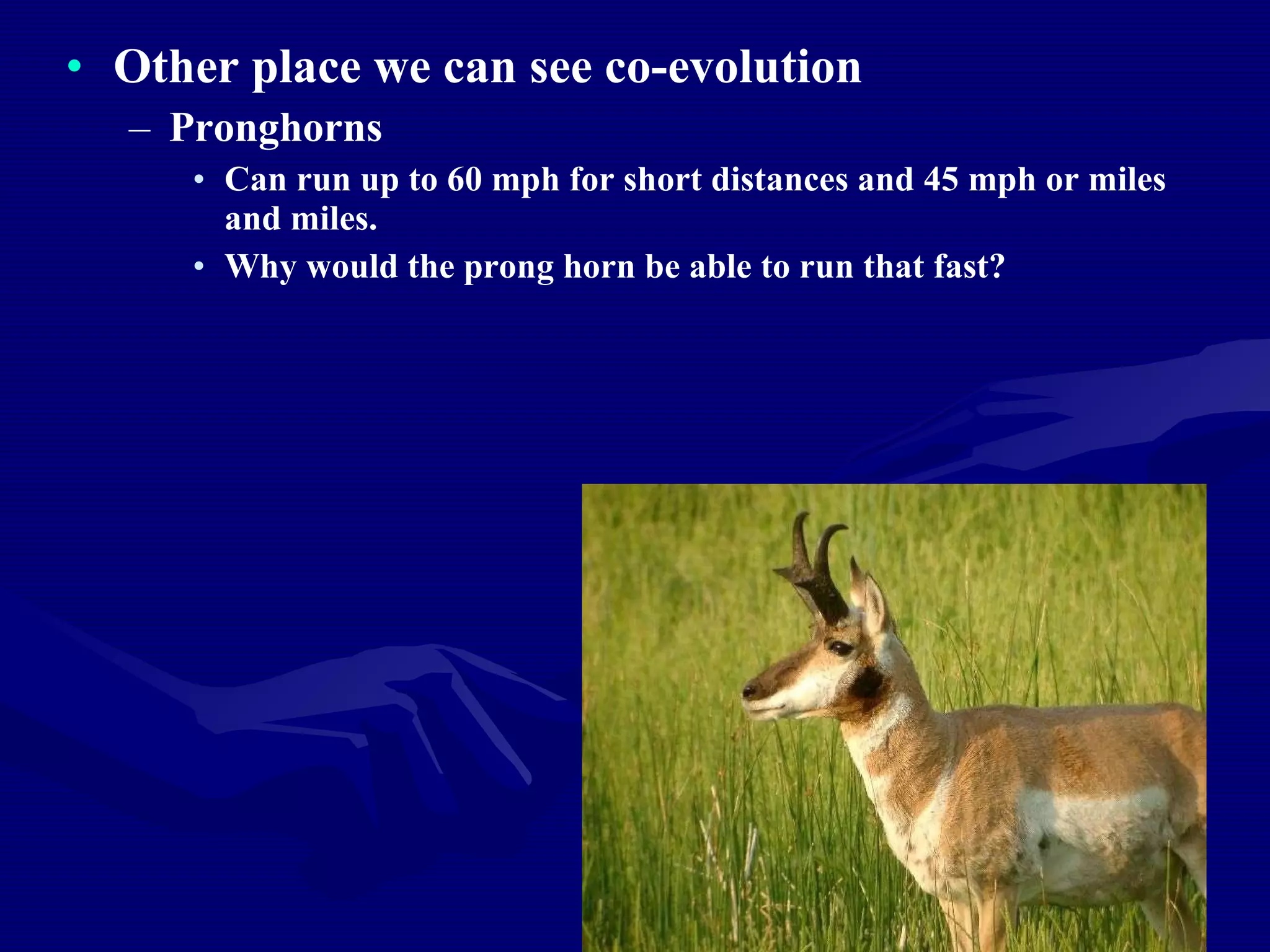 2 12 09 Coevolution | PPT | Biological Sciences | Science