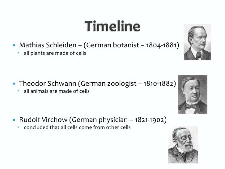 Rudolf Virchow Cell Theory Timeline