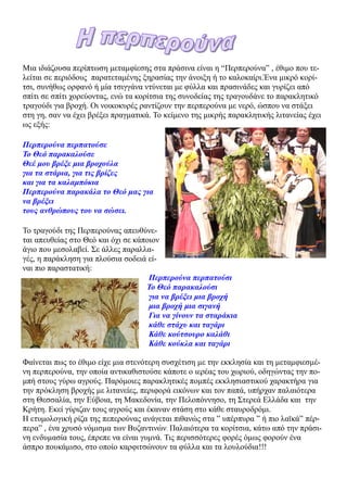 έθιμα της άνοιξης | PDF