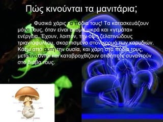 ΤΑ ΜΑΝΙΤΑΡΙΑ | PPT