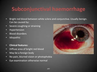 Shujat Ali Jafri | PPT