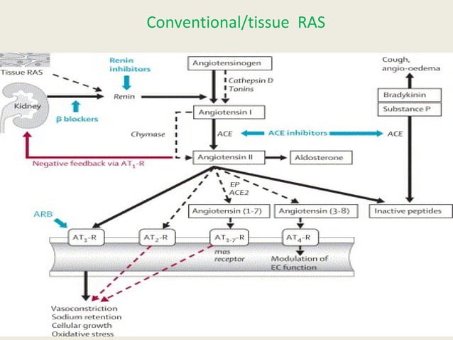 UPDATES OF RENIN ANGIOTENSIN SYTEM INTERVENTION | PPT