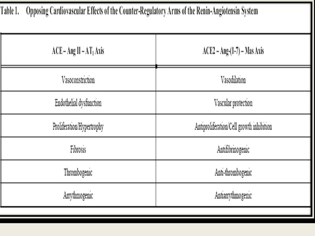 UPDATES OF RENIN ANGIOTENSIN SYTEM INTERVENTION | PPT