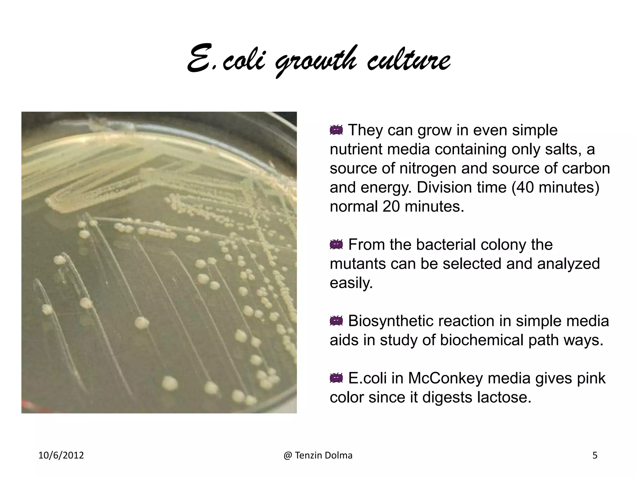 E coli | PPT
