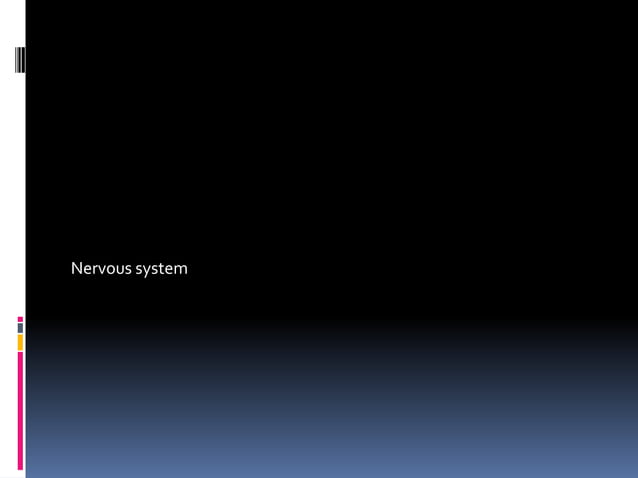 Nervous System | PPT