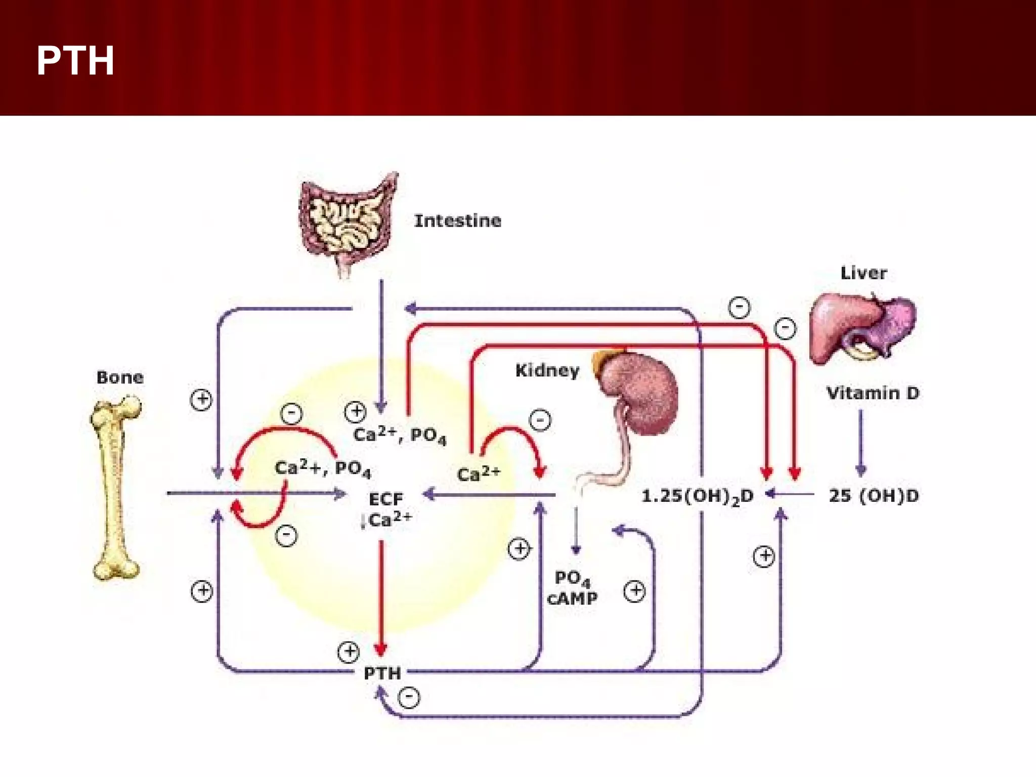 υπερασβεστιαιμια 2 | PPT