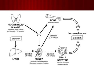 υπερασβεστιαιμια 2 | PPT
