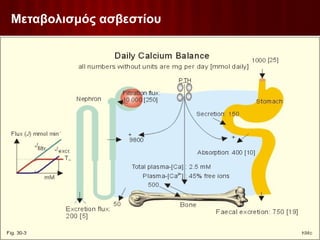 υπερασβεστιαιμια 2 | PPT