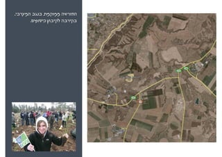 Gush Katif - Kisufim Forest | PPT