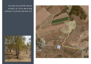 Gush Katif - Kisufim Forest | PPT