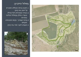 Gush Katif - Kisufim Forest | PPT